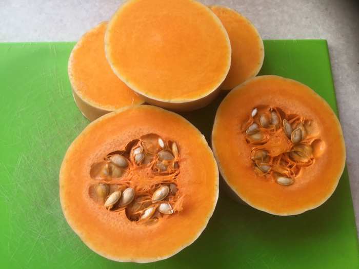 Growing the Seed from a Supermarket Butternut Squash - HubPages