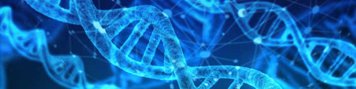 Intelligent Design: ID - HubPages