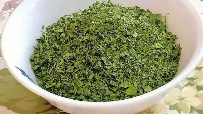 How to Dry and Store Fresh Hara Dhania (Cilantro) for a Year - HubPages