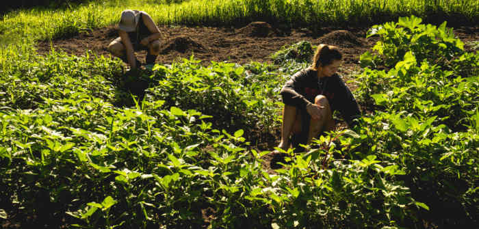 Factors Behind Lack of Food Security - HubPages