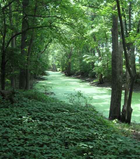 Discovering the Delphi Indiana Canal - HubPages
