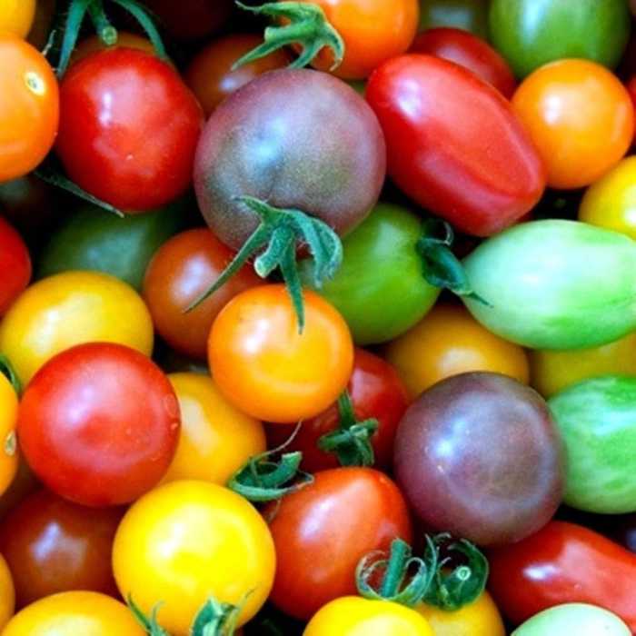 Cherry Tomatoes vs. Grape Tomatoes: What's the Difference? - HubPages