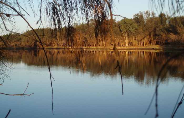Collie River Fishing - LetterPile