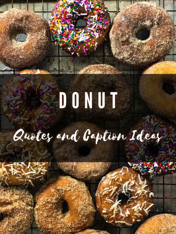 150+ Donut Quotes and Caption Ideas for Instagram - HubPages
