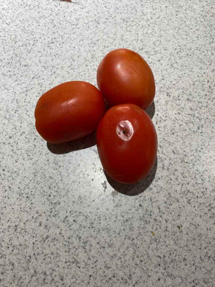 An Honest Review of Front Door Produce Delivery Service - HubPages