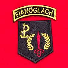 Who are The Irish Army Ranger Wing Special Forces? - HubPages