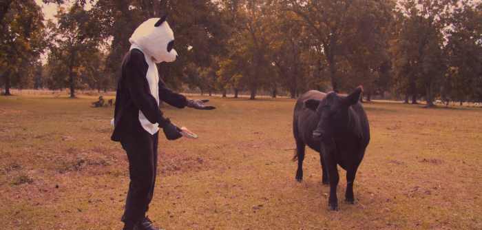 "Panda Bear It" (2020) Review: A Rapper Becomes an Endangered Species ...