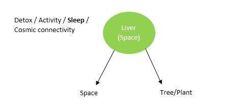 Science Behind Sound Sleep - HubPages