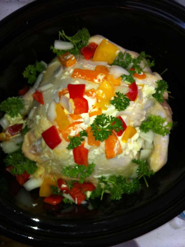 Chicken or Turkey So Tender That It Falls Off the Bone! - HubPages