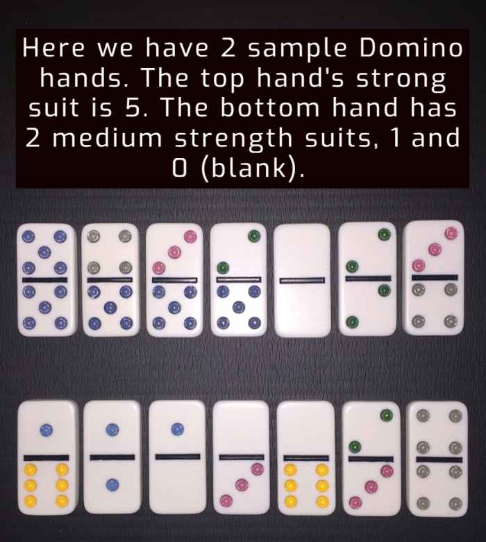 Block and Draw Dominoes Rules, Strategy, and Tactics for Beginners ...