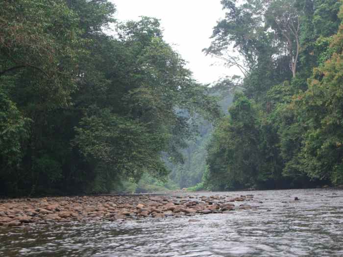 Temburong: A Journey by Longboat - HubPages