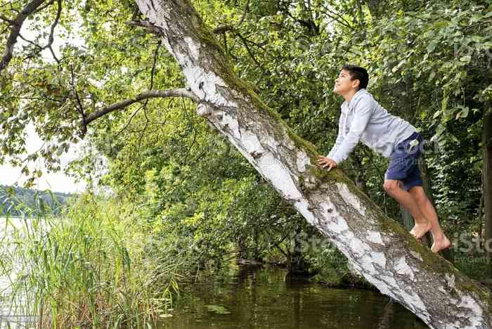Climbing Trees Help to Build Confidence to Face Life's Challenges ...