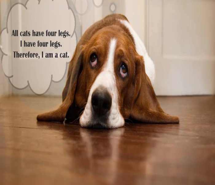 The Truth about Overgeneralization - HubPages