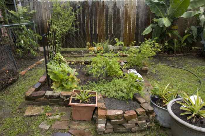 How to Start a Witch's Garden (+7 Easy Plants to Include) - HubPages