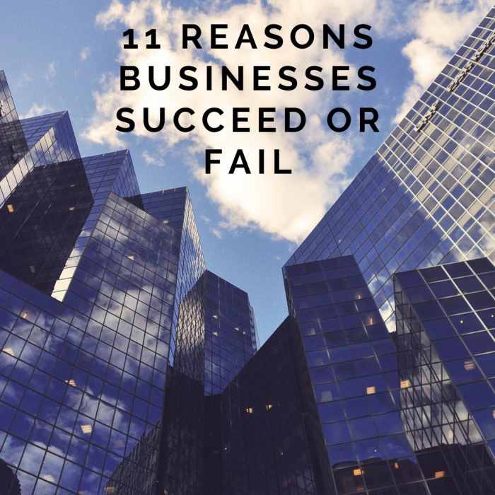 11 Reasons for Business Success or Failure - HubPages