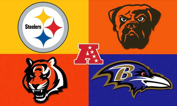 Every NFL Team’s Biggest One Hit Wonder-AFC North - HubPages