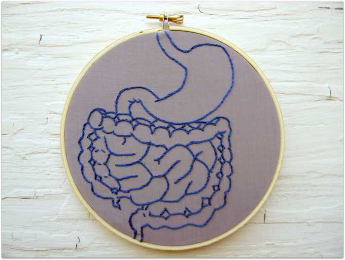 How to Get Your Bowels Moving Naturally - RemedyGrove