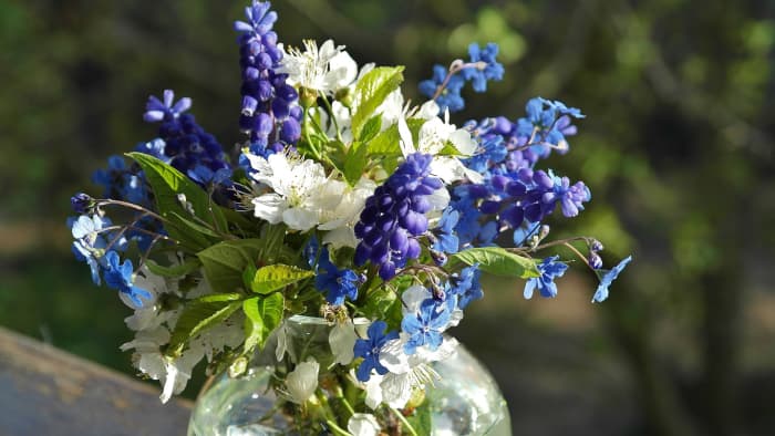 How To Make Bouquets Of Cut Flowers Last Longer Dengarden