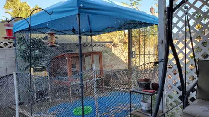 How to Build an Inexpensive Backyard Aviary - PetHelpful