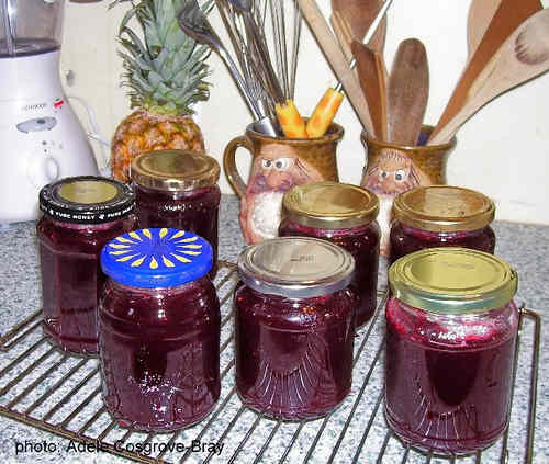 How to Make Home-Made Jam - HubPages