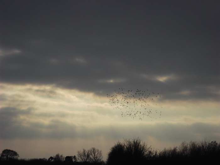 Why Is The Weather is a National Obsession? - HubPages