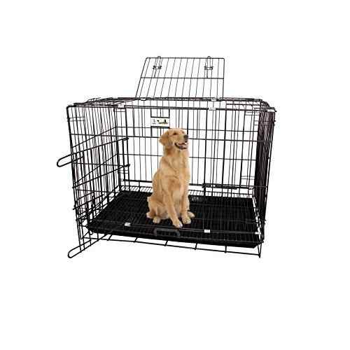 Puppy Pee and Potty Training - HubPages