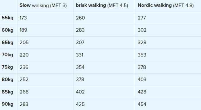 You Can Easily Lose Weight By Walking 10,000 Steps a Day! - HubPages
