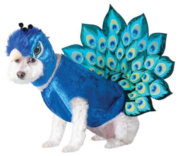 50 Blue Halloween Costumes - HubPages