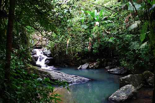 Discovering Puerto Rico: Ecotourism Destination - HubPages