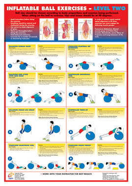 Exercise Charts for Stability Ball (Balance Ball, Swiss Ball) and Bosu ...