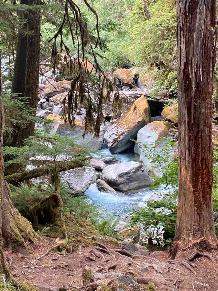 My Summertime Destination: Staircase at the Olympic National Park ...