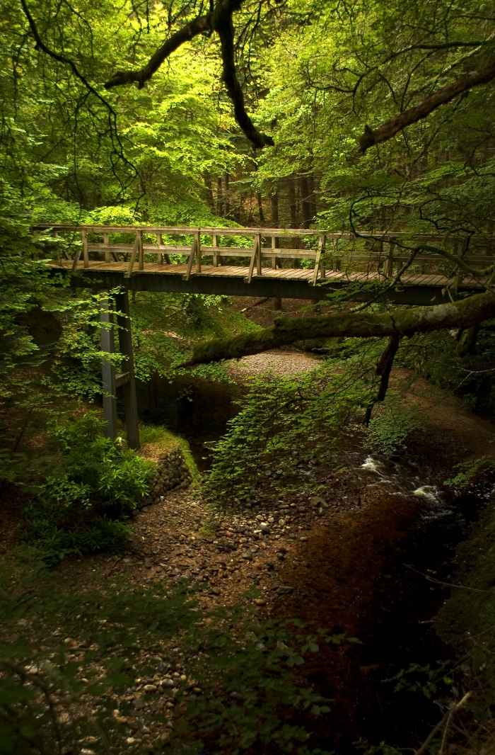 What Can We Learn About Humanity from Shakespeare's Macbeth? - HubPages