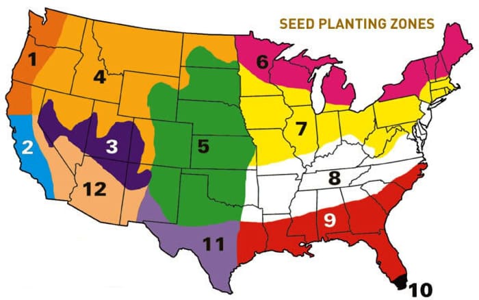 How to Plant Winter Ryegrass for a Green Lawn All Year Long - Dengarden