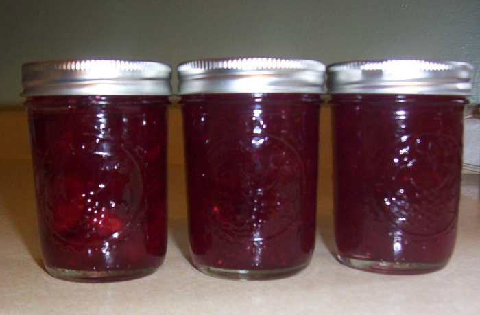 Three Recipes for Cranberry Preserves and Jam - Delishably