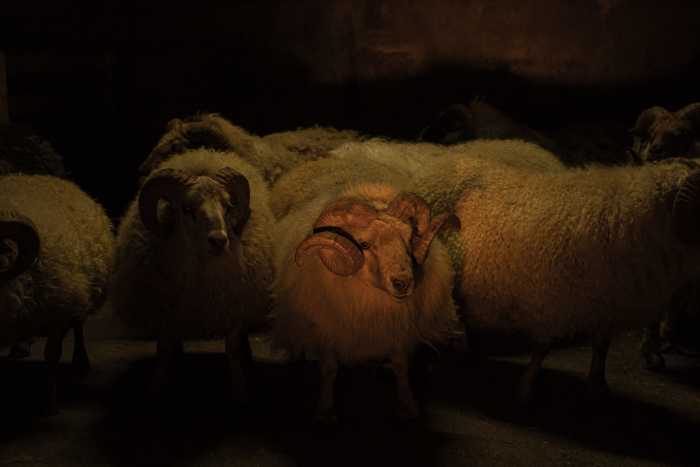 Lamb (2021) Review - HubPages