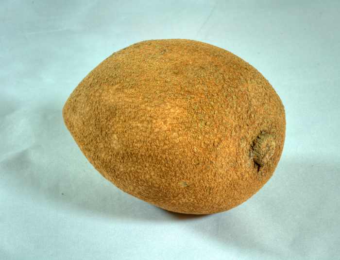 Copán - Some Foods of the Maya - HubPages
