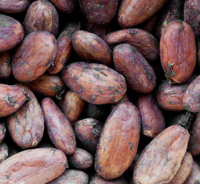 Copán - Some Foods of the Maya - HubPages