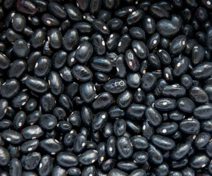 Copán - Some Foods of the Maya - HubPages