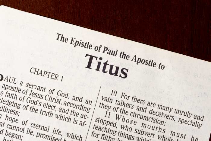 The Qualifications of a Christian Mentor - Titus 1:1-4 - HubPages