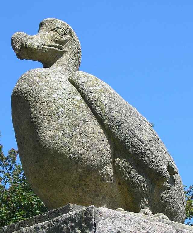 Dodo: Extinction of a Helpless Bird - HubPages