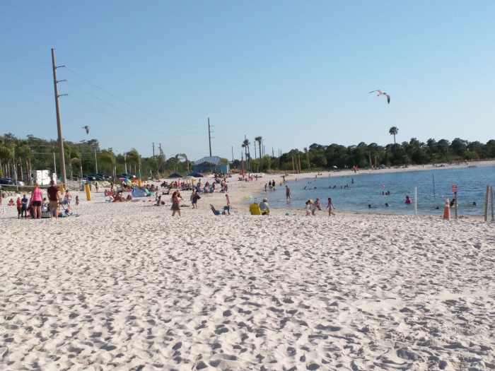 Visiting Florida Soon? Experience a New Addition to Florida's Sun Coast ...