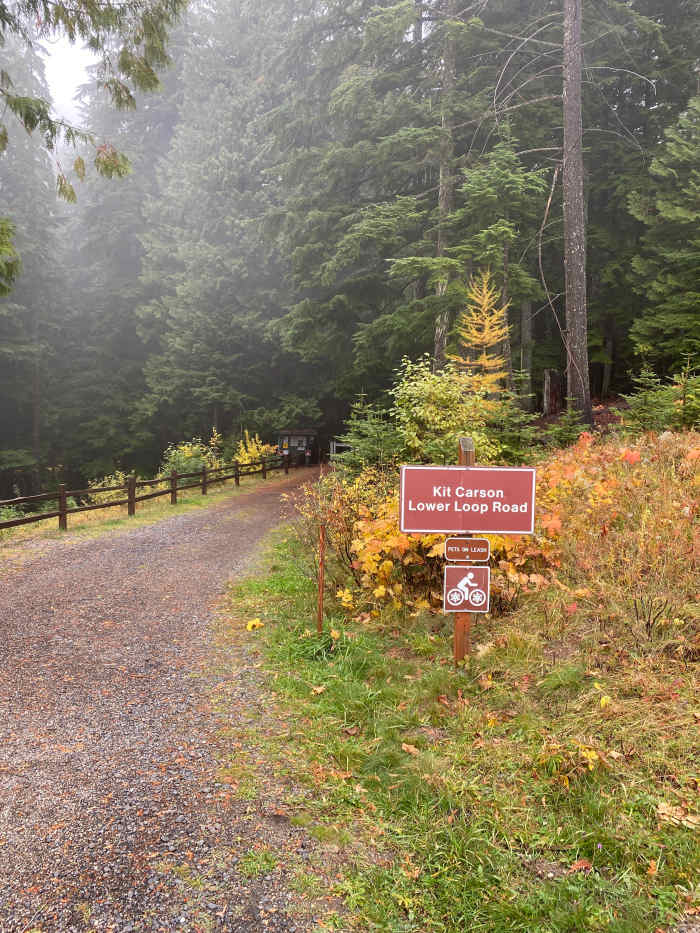 An Autumn Day Trip to Mount Spokane - HubPages