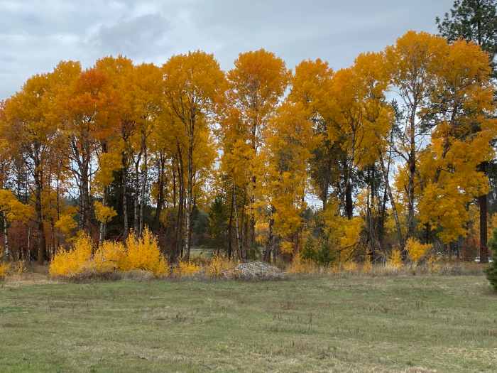 An Autumn Day Trip to Mount Spokane - HubPages