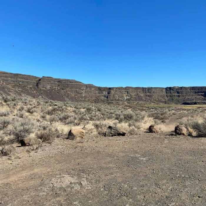 A Trip to Dry Falls State Park in Eastern Washington - WanderWisdom