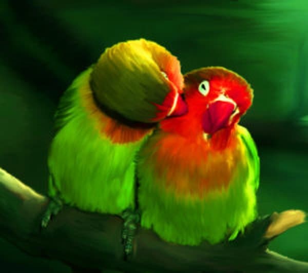 Abecedarian Poetry - HubPages