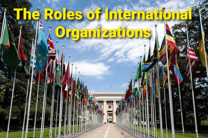 What Are the Roles of International Organizations? - HubPages
