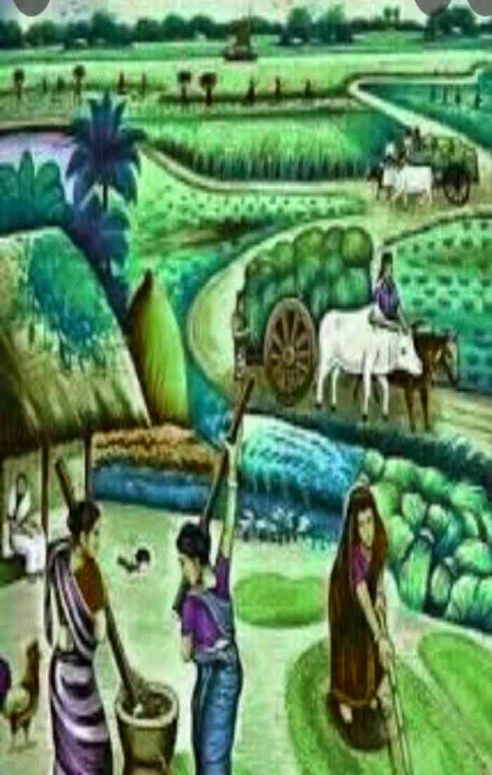 Importance Of Traditional Knowledge In Agriculture - HubPages