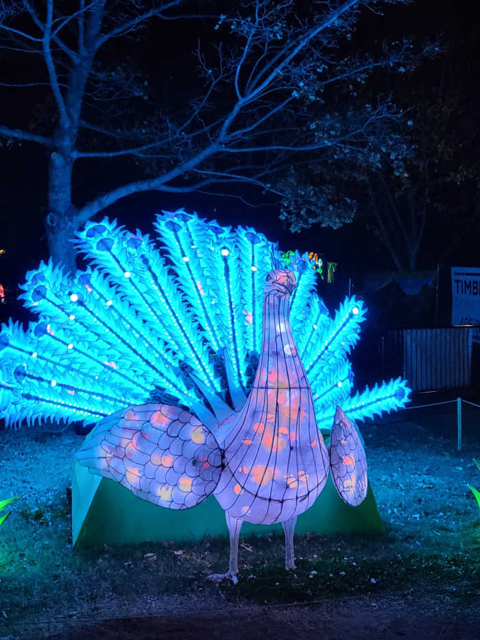 Oklahoma Zoo Safari Lights - HubPages