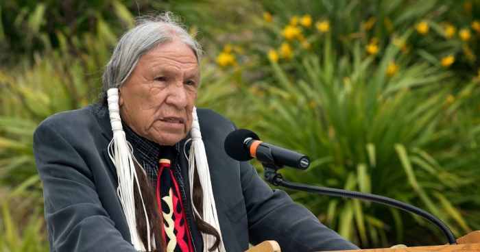 37 Best Native American Actors - HubPages