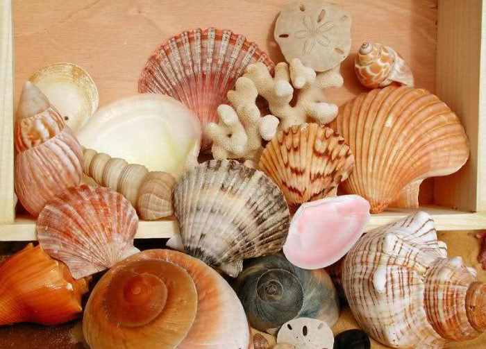 Two Factors in the Rococo Influenced the European Enlightenment - HubPages